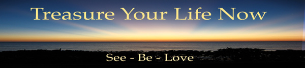 Introduction to Treasure Your Life, formerly Picture to Ponder weekly ...